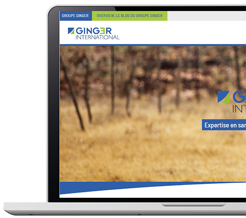 Ginger Group : Ginger INTERNATIONAL